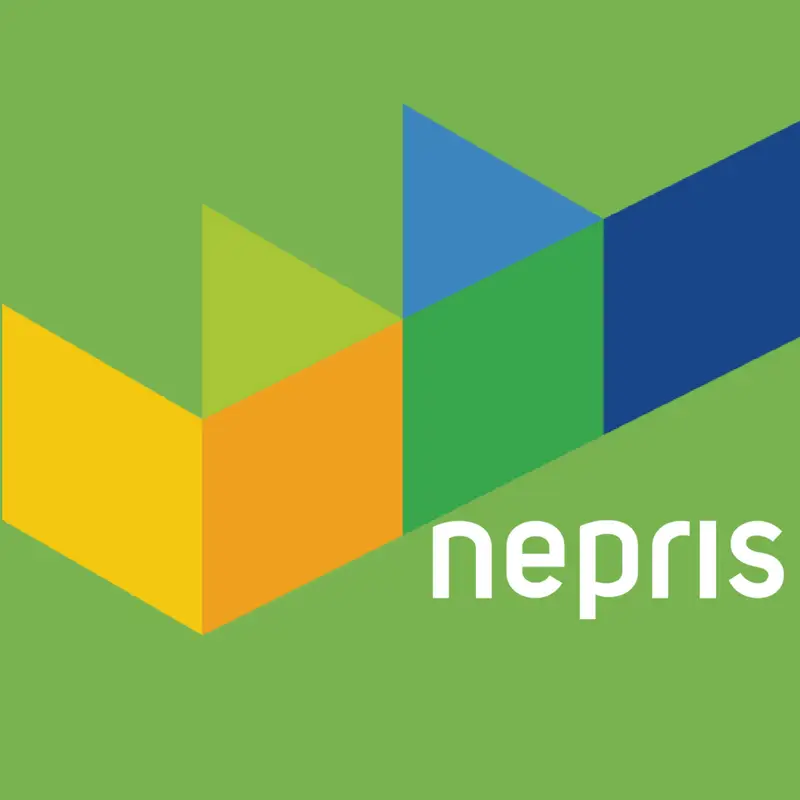 Nepris Outstanding Volunteer Award – Dr. Gamble-George