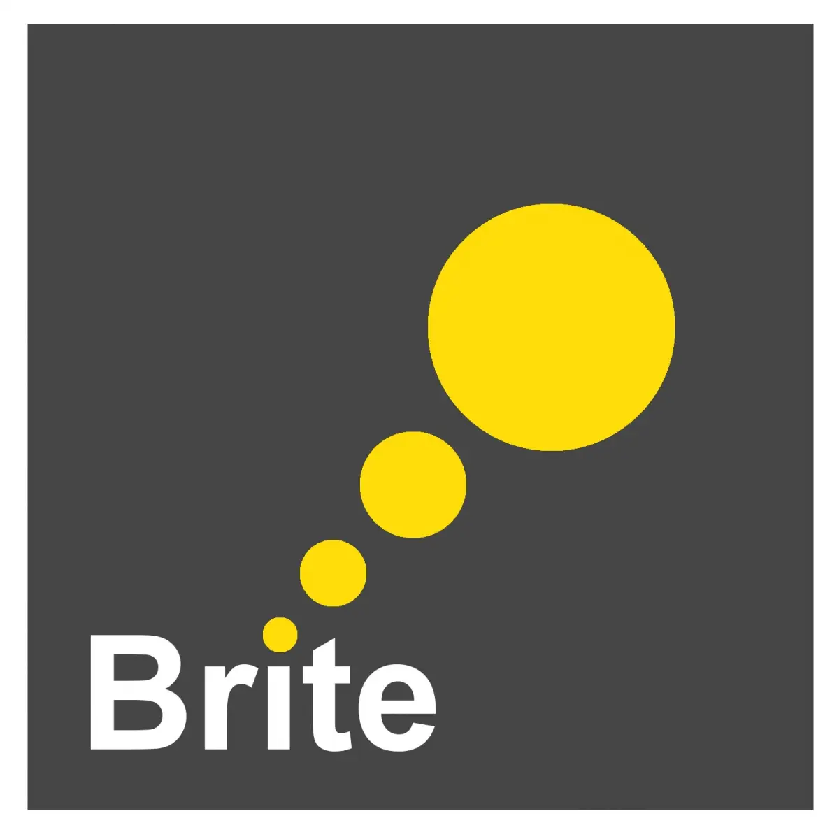 Panelist in Brite 2020 Program – Dr. Gamble-George